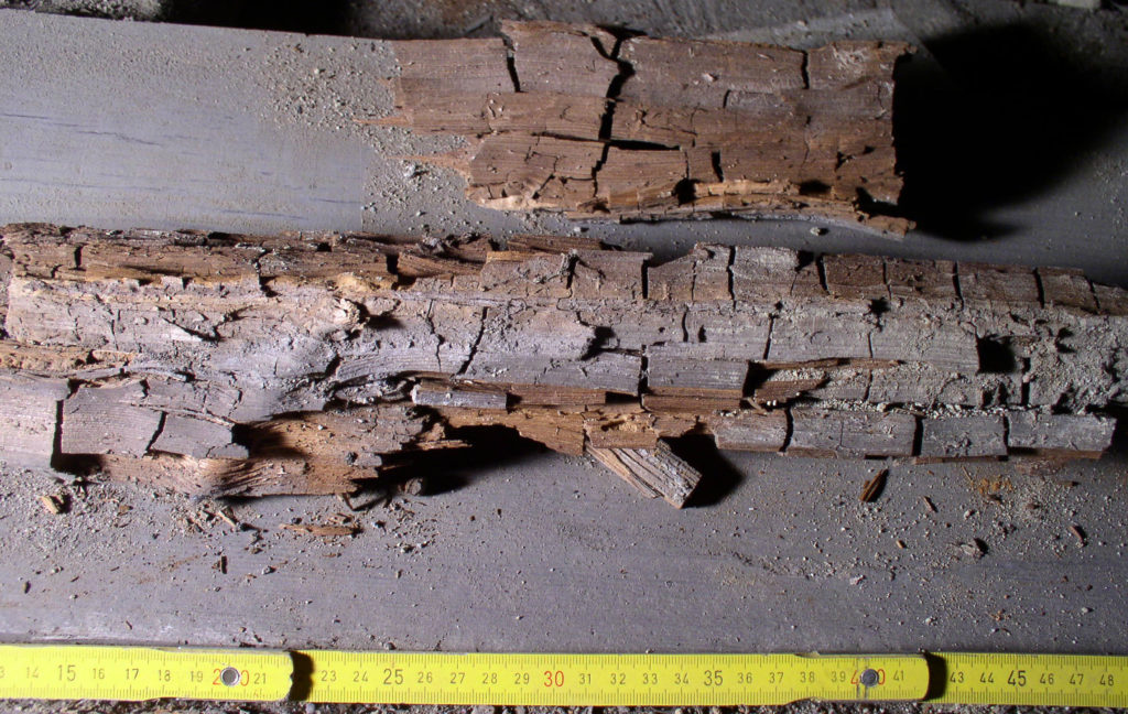 How to Identify and Treat the Cause of Your Rotting Timber - LetsFixIt